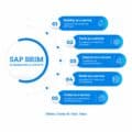 What is SAP BRIM - AcuitiLabs