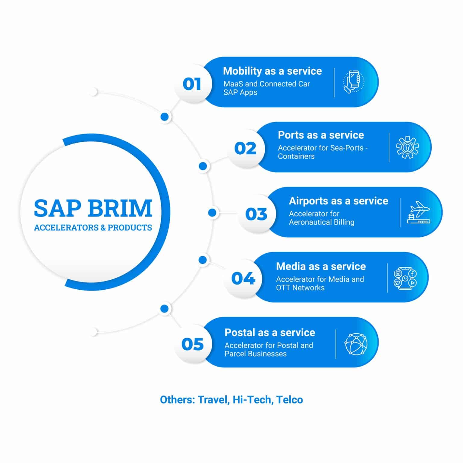 What is SAP BRIM - AcuitiLabs