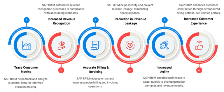 SAP BRIM Solutions - AcuitiLabs